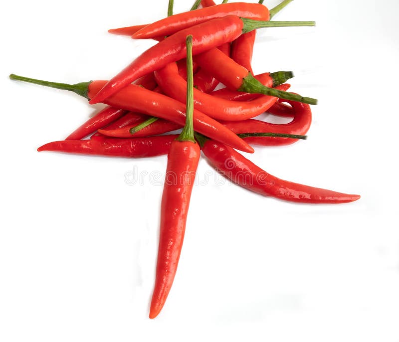 Red Chilli on White Background Stock Photo - Image of food, background ...