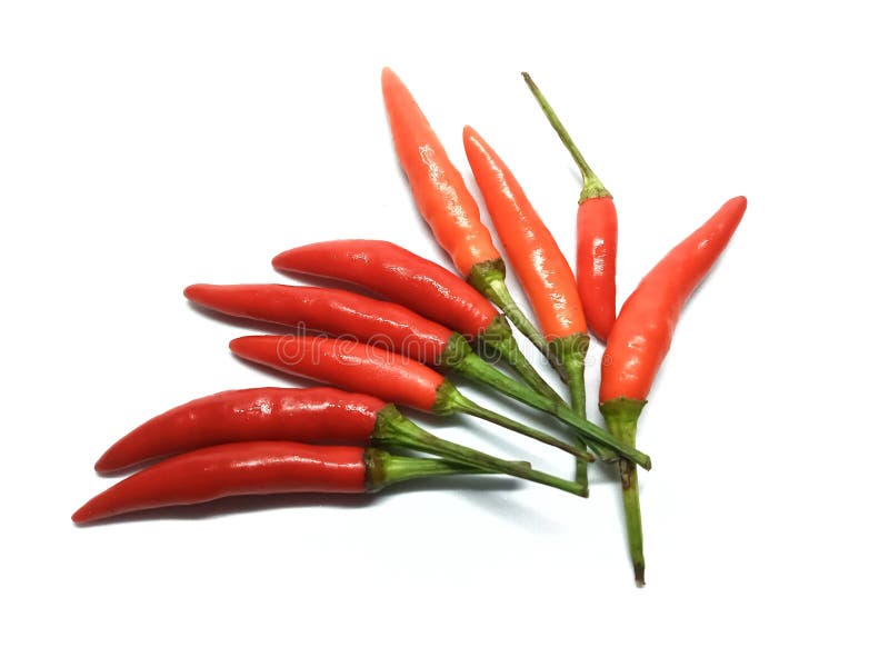 Group of Red Chillies on White Background Stock Photo - Image of ...