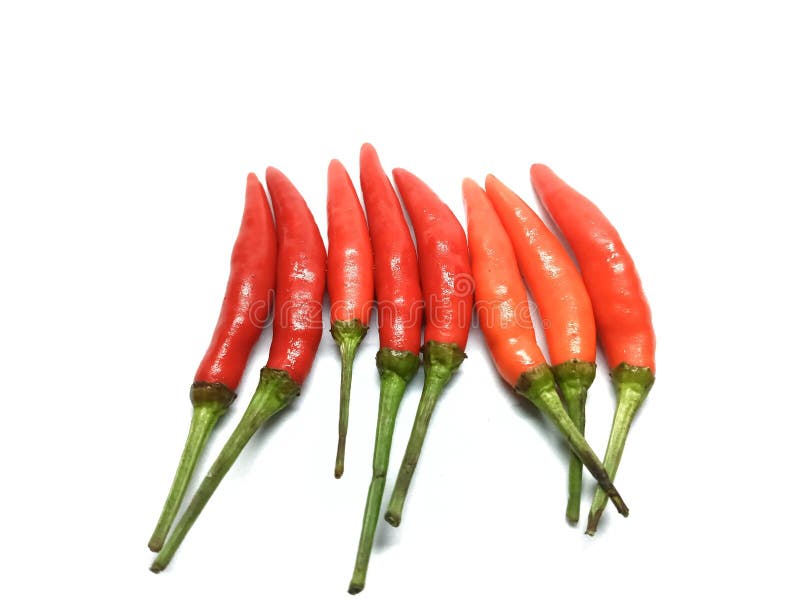 Group of Red Chillies on White Background Stock Image - Image of ...