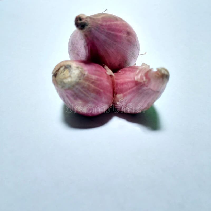 Group of Red ginger s stock photo. Image of plant, vegetable - 265175254