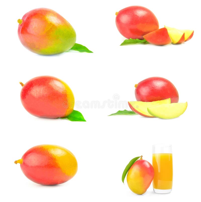 Group of Mango Red on a White Background Clipping Path Stock Image ...