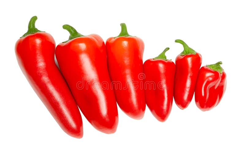 Snacking Red Mini Sweet Peppers, Ripe and Fresh Capsicums, in a Row ...