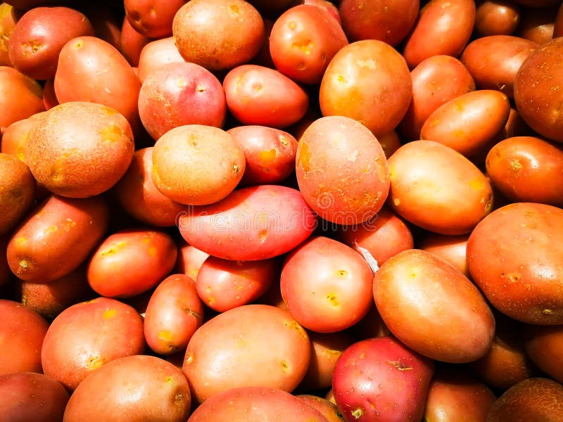 Royale Potatoes Stock Photos - Free & Royalty-Free Stock Photos from ...