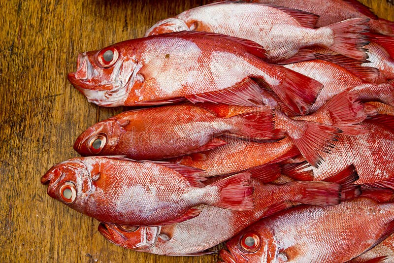 Group of Red Snapper Fishes on Market Stock Image - Image of ...