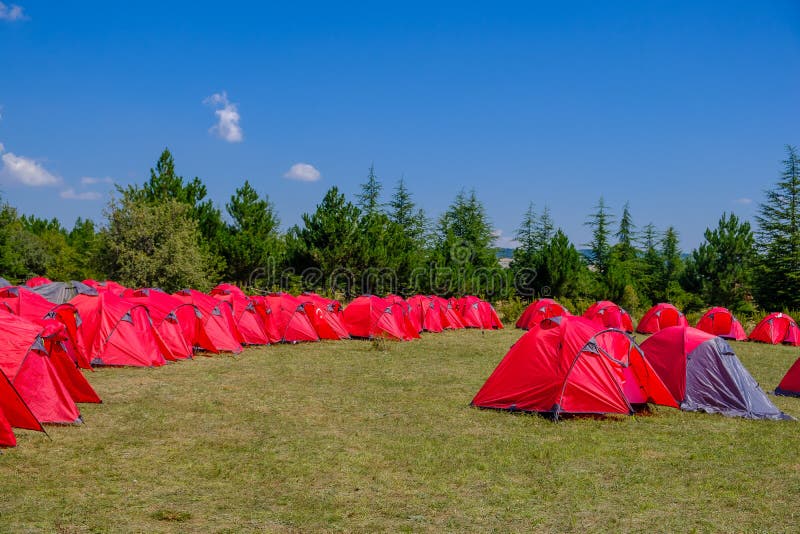 Group of Red Tents for Campers at Forest Stock Image - Image of holiday ...