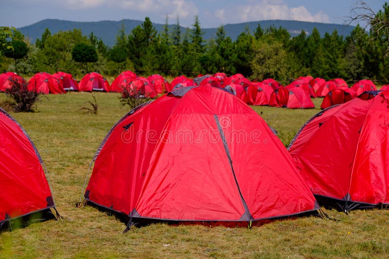 Group of Tents in the Woods Stock Image - Image of bags, outdoor: 319845577