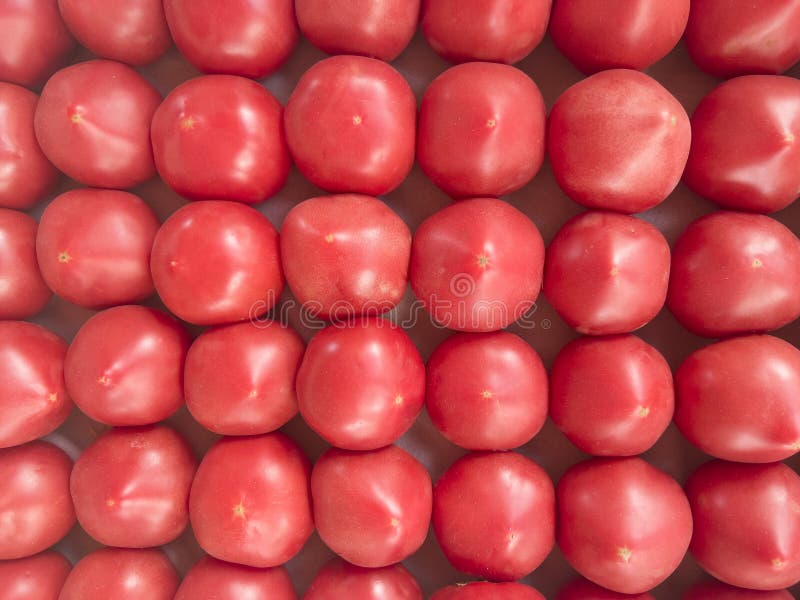 Tomato Texture Background. Top View. Fresh Cherry Tomatoes Pattern ...