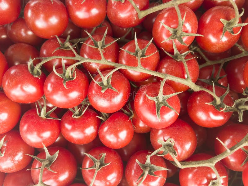 Tomato Texture Background. Top View. Fresh Cherry Tomatoes Pattern ...