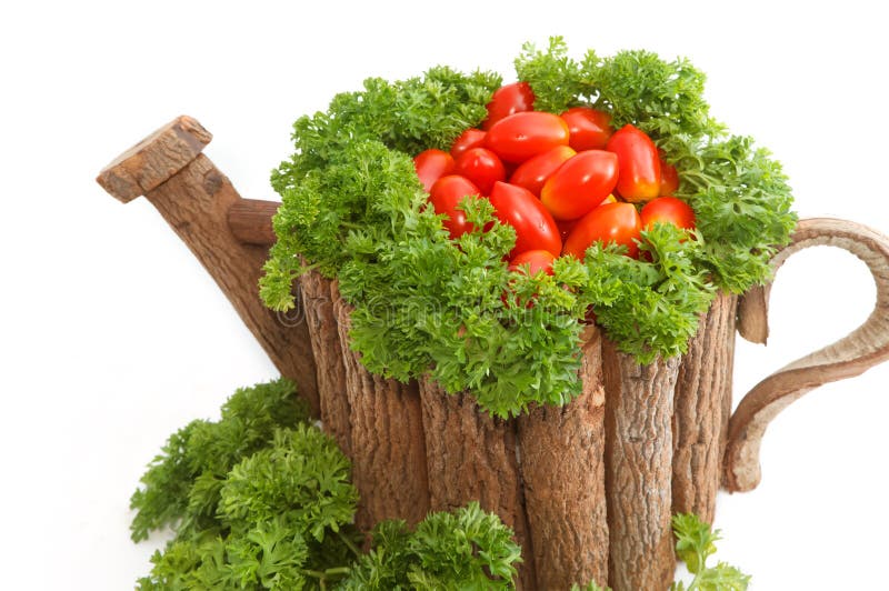 Group of Red Tomato in Wooden Pot Stock Photo - Image of produce, crop ...