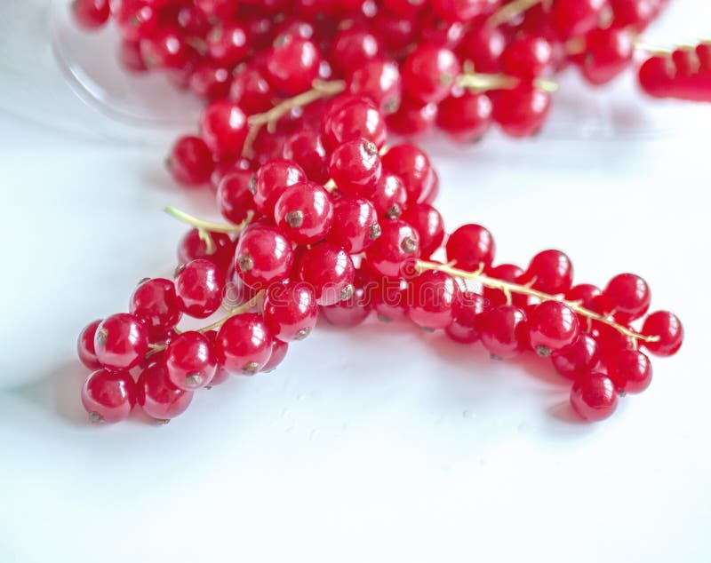 Group of Red and Wet Currants on a White Background Stock Image - Image ...