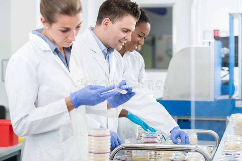 Group of Researchers Using Scientific Technology for Test of Ger Stock ...