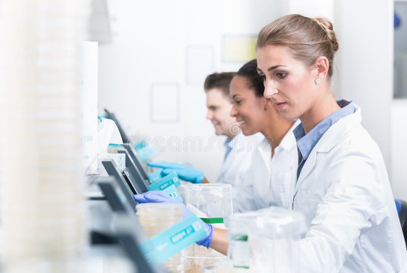 Group of Researchers during Work on Devices in Laboratory Stock Photo ...