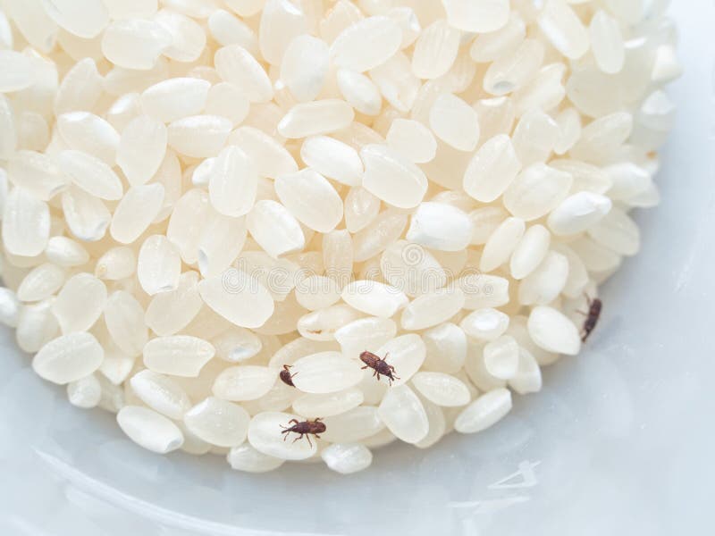 Chiang Cheng Wong (Chiangcheng97) - Photographer profile