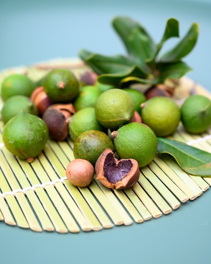 Group of Ripe Macamadia Nuts in Green and Brown Shell and Leaves of ...
