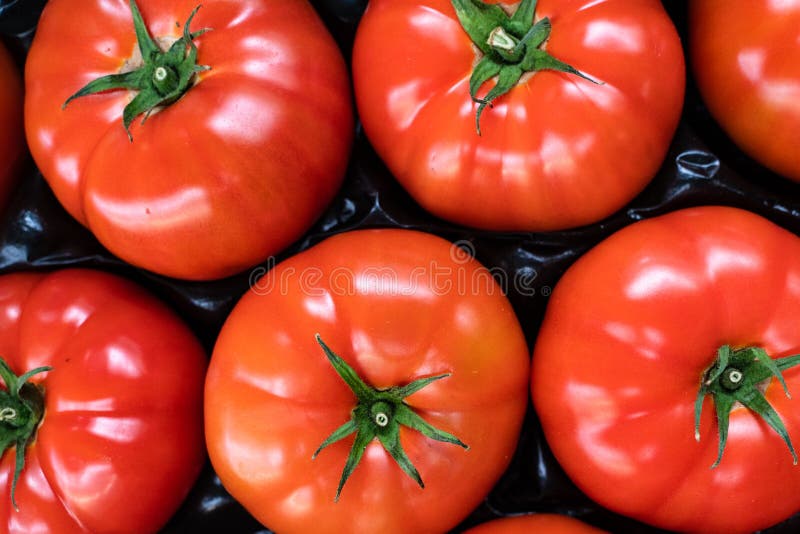Group of Ripe Red Tomatoes in Grocery Produce Stock Photo - Image of ...