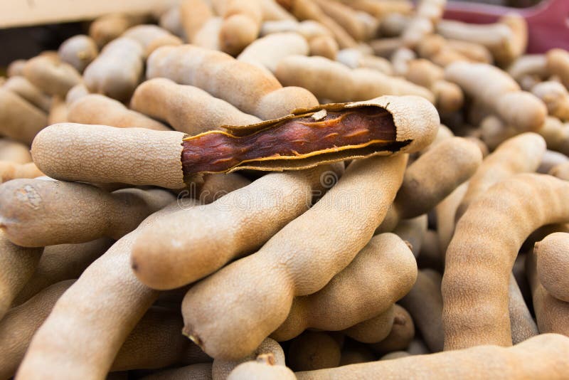 Tamarind Sticker Stock Photos - Free & Royalty-Free Stock Photos from ...