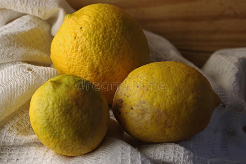A Group of Ripe Yellow Lemons on a White Cloth Stock Photo - Image of ...