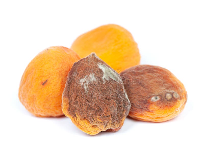 A group of rotten cabbage stock photo. Image of rotting - 227314418