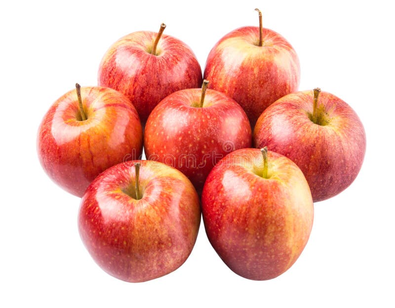 Royal Gala Apples stock image. Image of gala, fruit, tree - 1057597