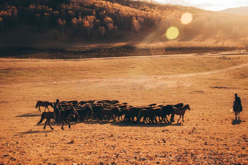 Glass Land Horse Stock Photos - Free & Royalty-Free Stock Photos from ...