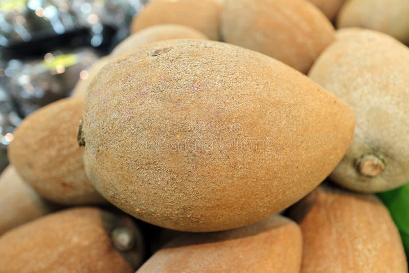 Sapoche or sapodilla fruit stock photo. Image of dish - 63642424