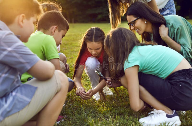 Group of School Students Learn about Environment and Study Insects in ...