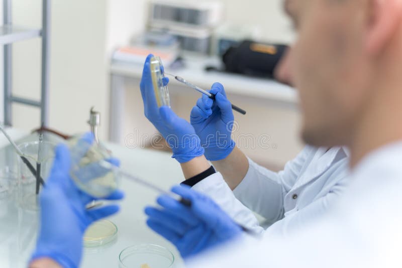 A Group of Scientists Conducts Research in a Scientific Laboratory ...