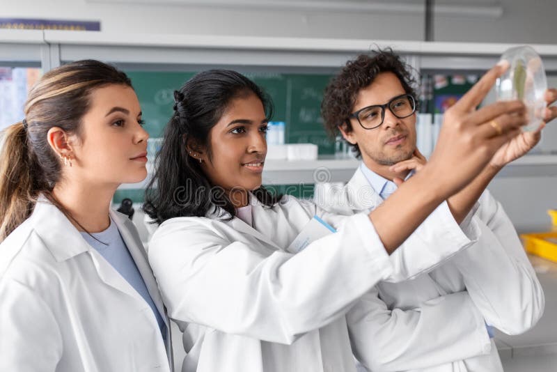 Group of Scientists with Leaf in Laboratory Stock Image - Image of ...