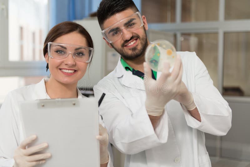 Group of Scientists Working at the Laboratory Stock Image - Image of ...