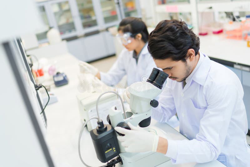 Group of Scientists Working at the Laboratory Stock Image - Image of ...