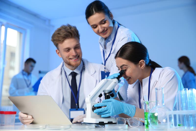Group of Scientists Working with Sample in Chemistry Laboratory Stock ...