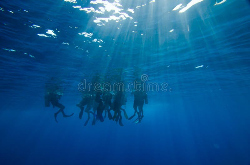 Group of scuba divers stock image. Image of school, fish - 89939915