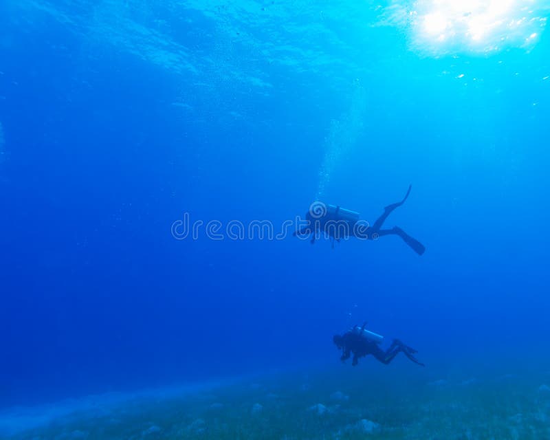 Group of Scuba Divers stock photo. Image of hobby, sandy - 67555114