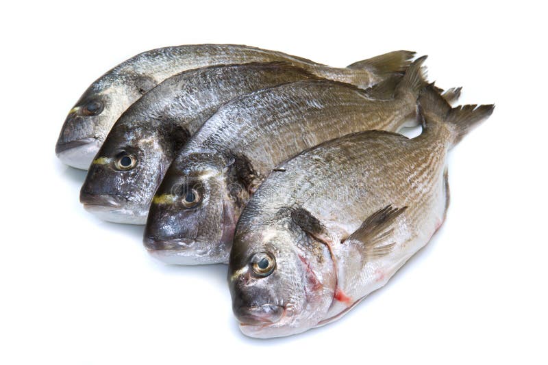 Group of sea bream stock image. Image of mullet, heap - 32273583