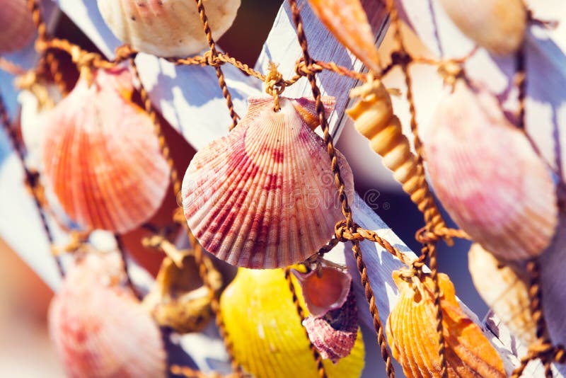 Fishing net with shells stock photo. Image of fishing - 6750084