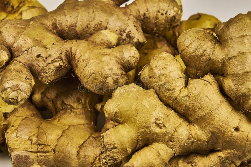 Fresh Ginger Root Isolated on White Background Stock Photo - Image of ...