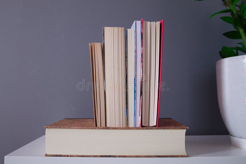 Group of Several Reading Books, One of Them Lying Down and the Other ...