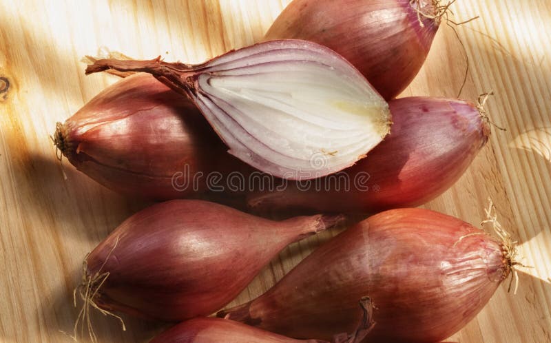 Group of shallots stock photo. Image of antioxidant - 129286772