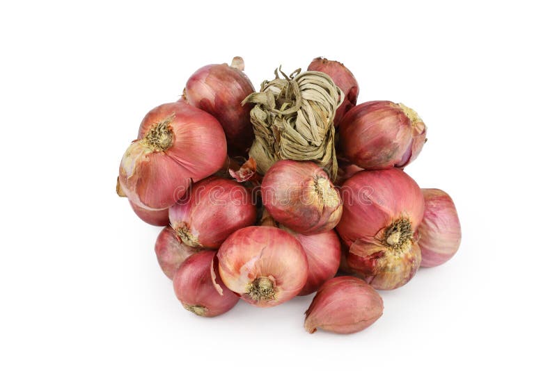 378 Round Shallots Stock Photos - Free & Royalty-Free Stock Photos from ...