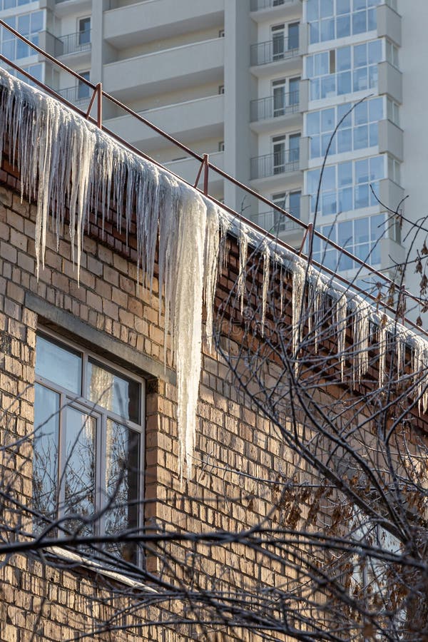 A Group of Sharp White Transparent Icicles is Hanging Down from the ...