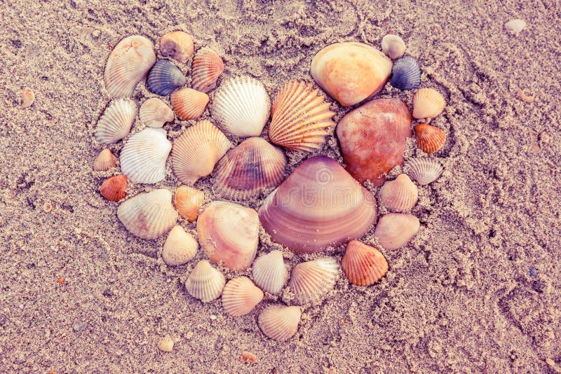 Group of Shell on Sand in Heart Shape. Stock Photo - Image of arrange ...