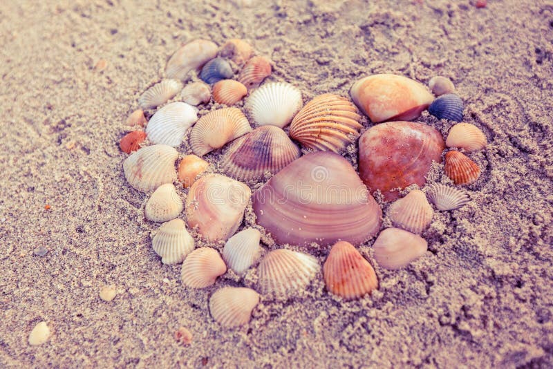 Group of Shell on Sand in Heart Shape. Stock Photo - Image of nature ...