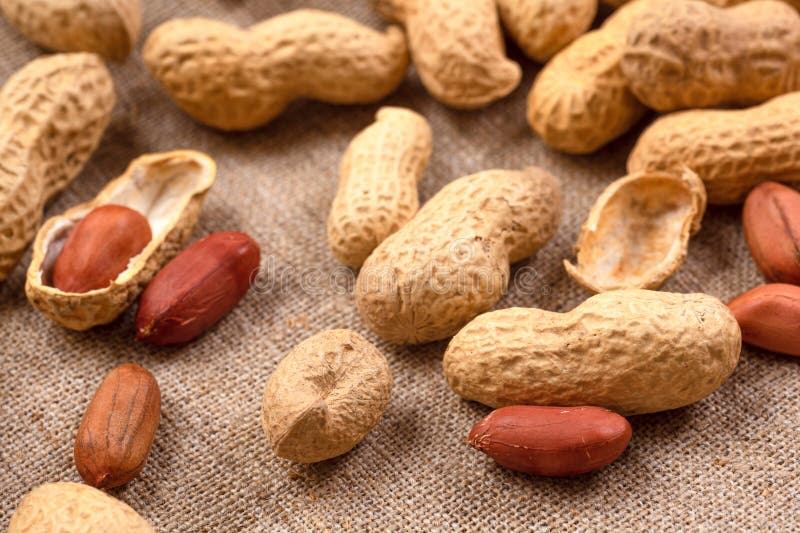 Group of Shelled and Unshelled Peanuts, Close-up. Stock Photo - Image ...