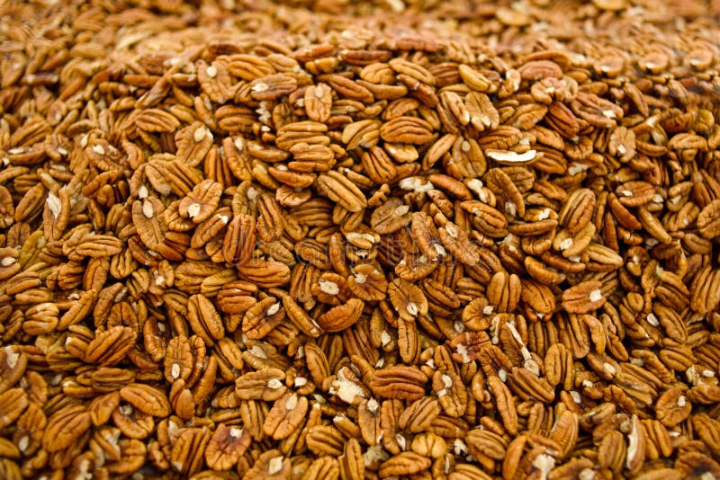 Group of Shelled Walnuts Cut in Half. Stock Image - Image of cracked ...