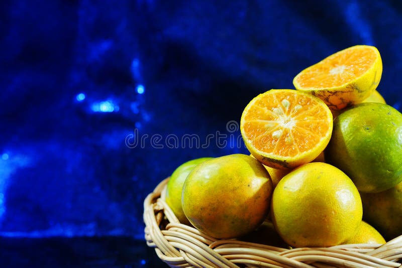 Group of Shogun Orange with Glitter Blue Background. Stock Image ...