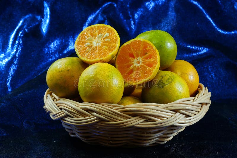 Group Of Shogun Orange With Glitter Blue Background. Stock Image ...