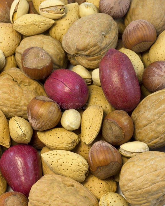 Mixed nuts stock photo. Image of shell, hard, natural - 29834348