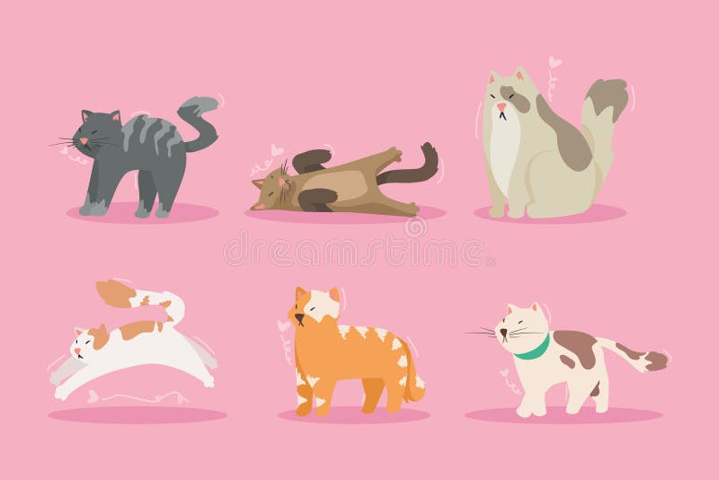 Group of six cats stock vector. Illustration of friends - 271148085