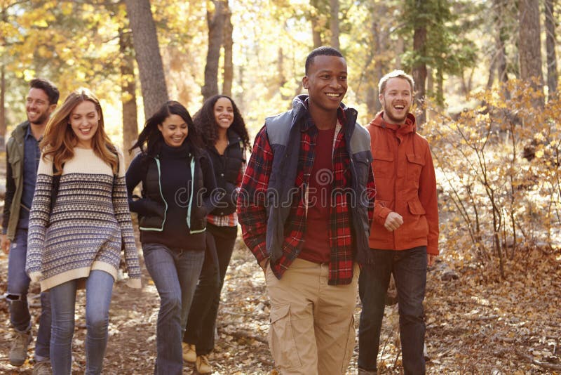 Group of Six Friends Hiking Together through a Forest Stock Photo ...