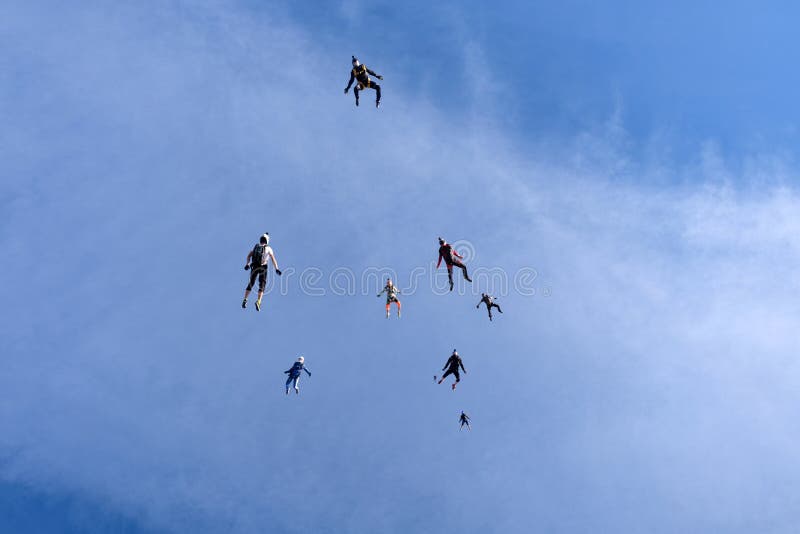 Skydiving. the Flock of Skydivers in the Sky. Stock Image - Image of ...